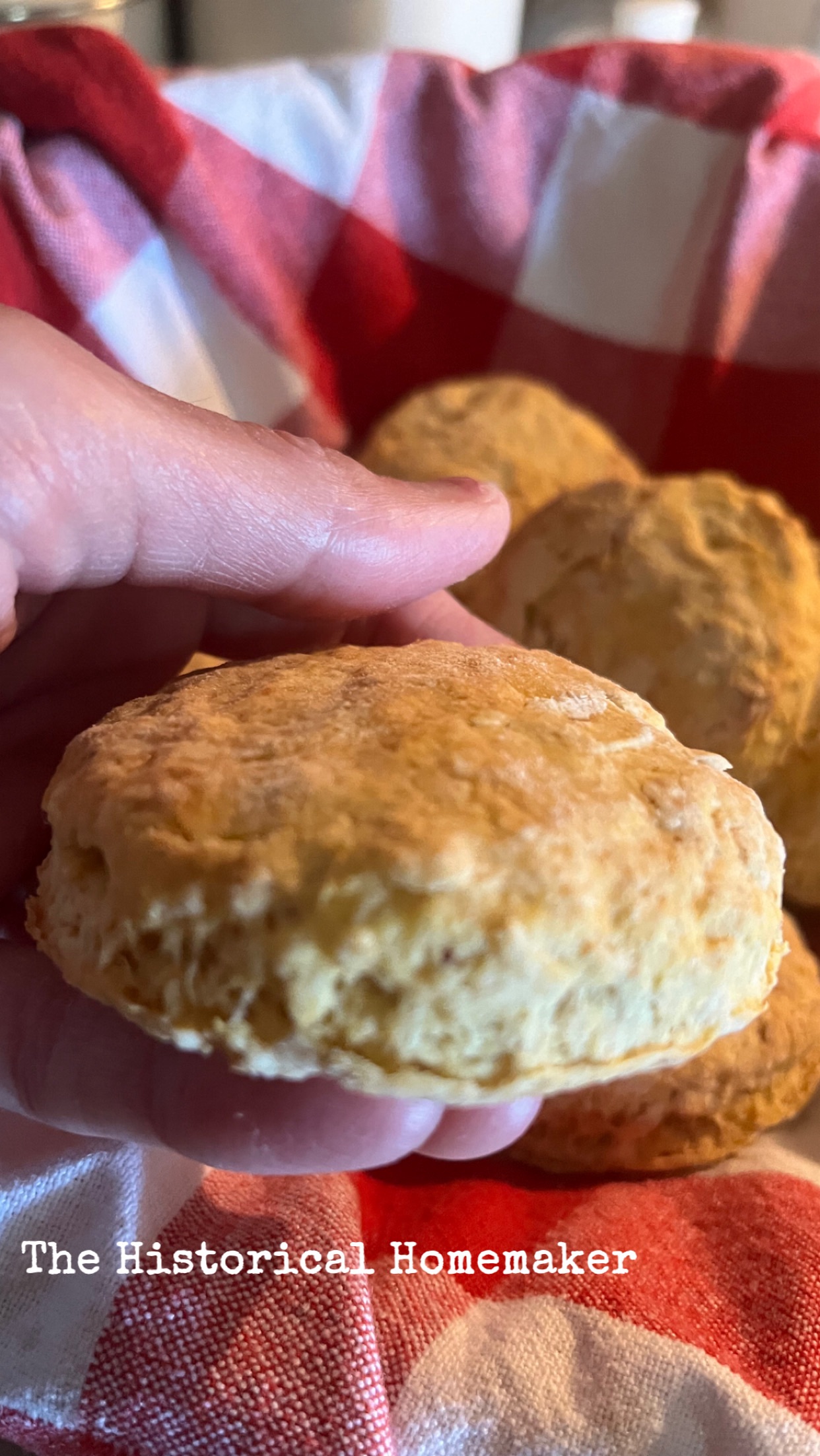 Thomas Jefferson’s Sweet Potato Biscuits | The Historical Homemaker