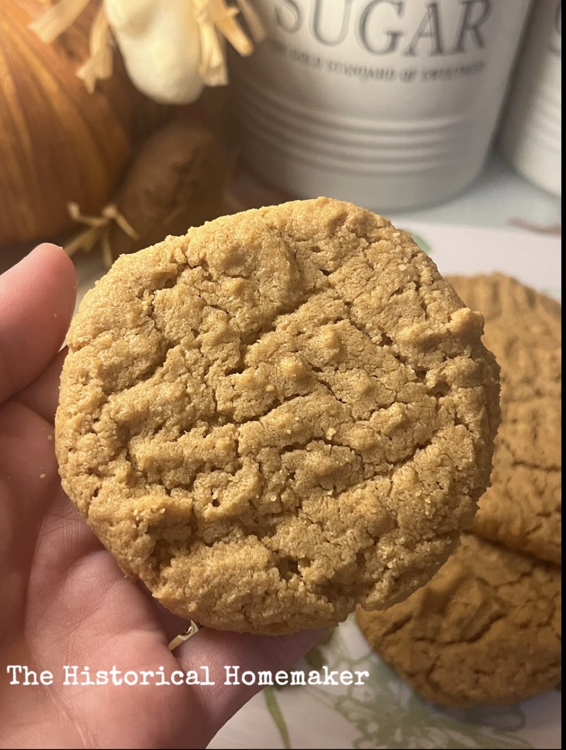 Peanut Butter Cookies – Carter Family Recipe | The Historical Homemaker